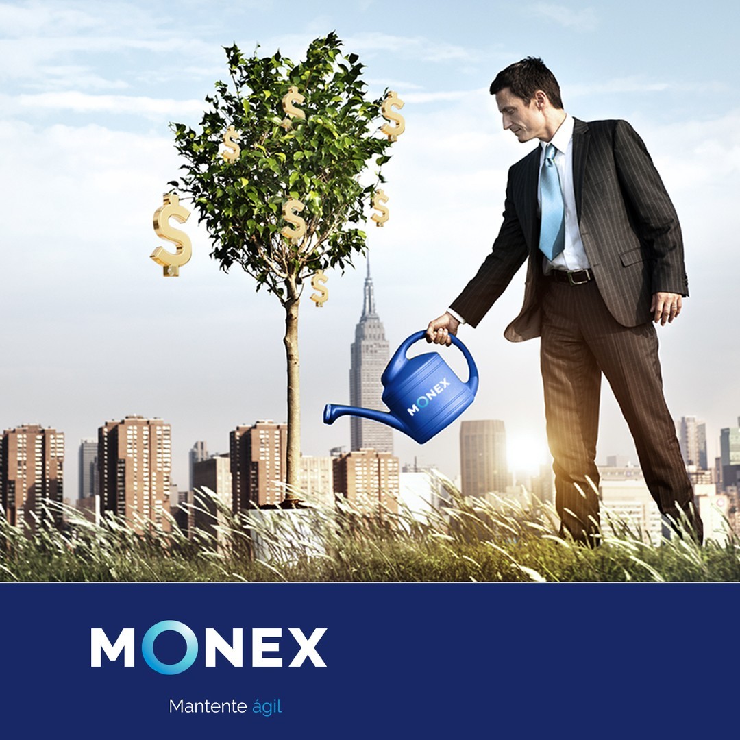 Utiliza la Cuenta Multidivisa Monex ONE®